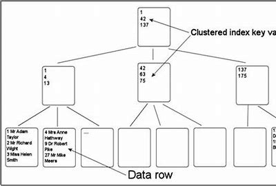Dbs101_unit6 | Nyendrak Yoezer Zangmo